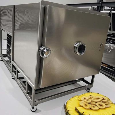 China Industrial Lyophilizer Max Vegetable Fruit Vacuum Freeze Dryer High Capacity for sale