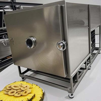China Freeze Dried Fruit Freeze Dryer Lyophilizer 200KG 100KG 50KG Capacity for sale