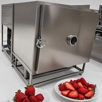 China Fruit Lyophilizer Machine Industrial Food Vacuum Freeze Dryer‌ Strawberry Banana for sale