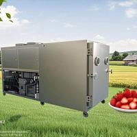 China Heavy Duty Vegetable Fruit Freeze Dryer‌ Lyophilizer 380V Freeze Drying Process for sale