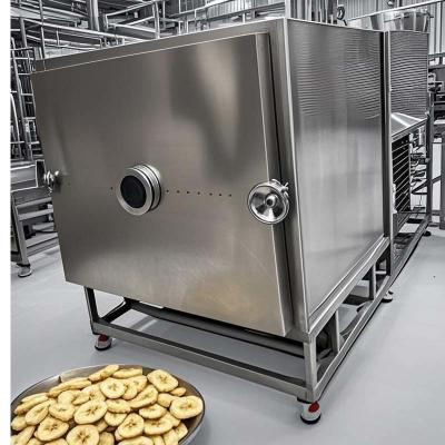 China Commercial Grade Freeze Dryer Heavy Duty Meat Produce Processing -50°C for sale