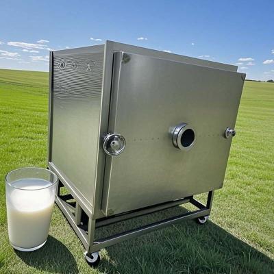 China Energy Efficient 50KG 100KG Industrial Freeze Drying Machine for sale