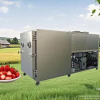 China Lyophilizer High Speed Industrial Freeze Dryer 30% Faster Than Competitors for sale