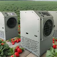 China 20kg Multi Use Freeze Dryer Machine Process Herbs Coffee Candy Milk Dairy Easily for sale