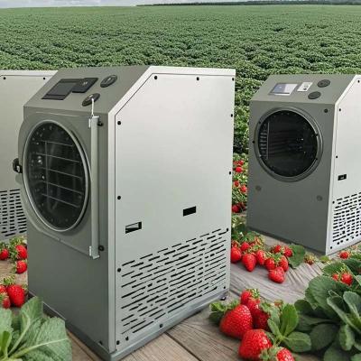China ‌Freeze Dryer Lyophilizer Machine 6KG 10KG 20KG Home Food Preservation for sale