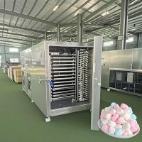 China ‌Commercial Scale Lyophilizer 50KG Industrial Freeze Drying System For Dairy Candy Products for sale