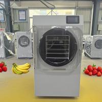 China Food Grade 20kg Freeze Dryer System Preserve Fruits Vegetables Candy Ice Cream for sale