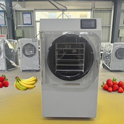 China Food Grade 20kg Freeze Dryer System Preserve Fruits Vegetables Candy Ice Cream for sale