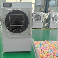 China 6‌KG 10KG 20KG Quick Dry Small Freeze Dryer for Instant Food Preservation ‌Space Saving for sale