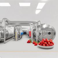 China Industrial Lyophilizer 500kg Continuous Freeze Drying System for Herbs for sale