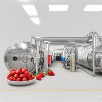 China Commercial Scale Freeze Dryer 1000kg Automated Control for High Volume for sale