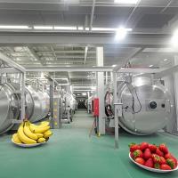 China Heavy Duty Lyophilizer 500kg Industrial Freeze Dryer For Fruit / Vegetable / Coffee / Seafood for sale