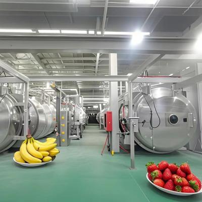 China Heavy Duty Lyophilizer 500kg Industrial Freeze Dryer For Fruit / Vegetable / Coffee / Seafood for sale