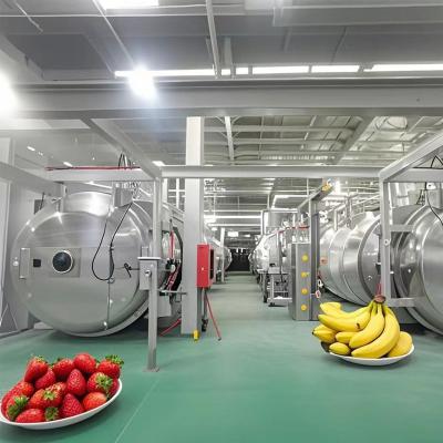 China Commercial Industrial Freeze Drying Equipment 1000kg Capacity For Laboratory / Factory Use for sale