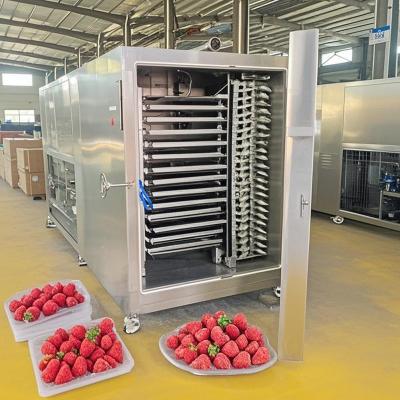 China 50kg Stainless Steel Industrial Freeze Dryer Machine CE Certified For Lab Factory Use for sale