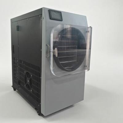 China Professional Lab Freeze Dryer with Precise Temperature Control Baosi Pump Stainless steel for sale