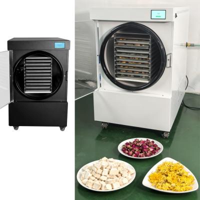 China 220V/50-60HZ Small Freeze Dryer Made of SUS304 Stainless Steel for Drying for sale