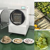 China Mini Freeze Dryer with Intelligent System Remote Control and Compact Design for sale