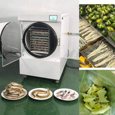China Mini Freeze Dryer with Intelligent System Remote Control and Compact Design for sale
