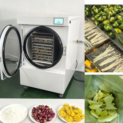 China Preserve Your Food with Home Freeze Dryer 24-30 Hours Freeze Dry Cycle Two-stage Baosi Vacuum Pump and Danfoss Compressor for sale