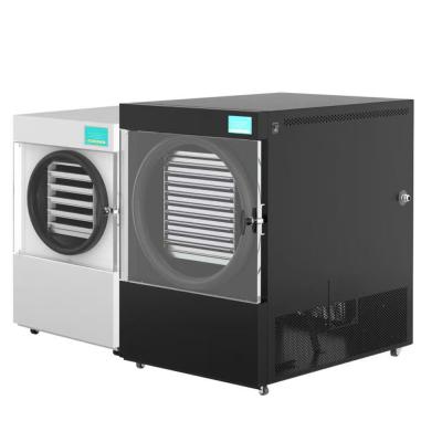 China Freeze Dry Cycle 24-30 Hours Medium Size Home Freeze Dryer with Intelligient System Remote Control for sale