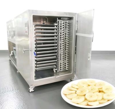 China Industrial 100KG Freeze Dryer - High-Capacity Lyophilizer Equipment with Stainless Steel Construction for sale