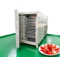 China Commercial Freeze Dryer 100KG - High Capacity Industrial Lyophilizer for sale