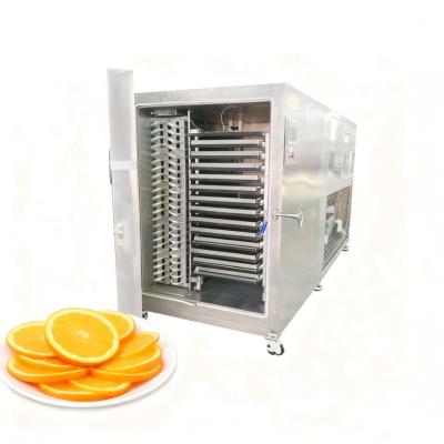 China 200KG Large Lyophilizer for fruit- Industrial Freeze Drying Equipment Supplier for sale