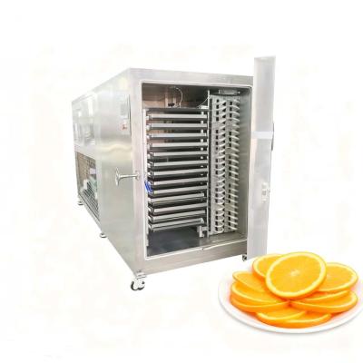 China Large 200KG Freeze Dryer for Sale - Get Best Price on Commercial Lyophilizer with Advanced Cooling for sale