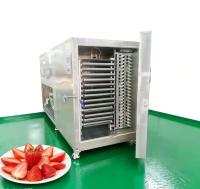 China Commercial Lyophilizers for Sale: 50KG, 100KG, 200KG Freeze Dryers with Factory Direct Pricing for sale