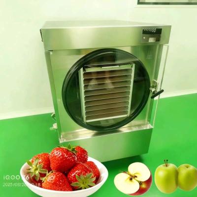China Freeze Dryer for Home: Create Emergency Food Supply & Healthy Snacks with Long Shelf Life for sale