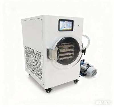 China Home Freeze Dryer: Preserve 95% Nutrition, Make Healthy Snacks & Meals for Years for sale