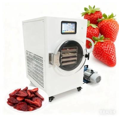China Home Freeze Dryer: Lock in Freshness, Save Money, & Reduce Food Waste Now for sale