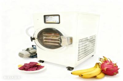 China Home Freeze Drying： Stop Food Waste  Preserves Leftovers & Saves You Money for sale