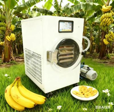China Home Freeze Drying：Long-Term Survival & Camping Meals Long-Term Survival & Camping Meals for sale