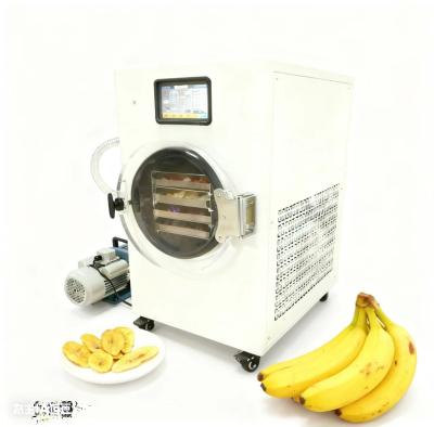China Home Freeze Drying：Make Ice Cream, Snacks & Baby Food. Retain Flavor & Vitamins for sale