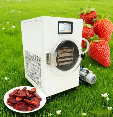 China Home Freeze Dryer for Survival Food, Lightweight & Tasty  Healthy Snacking Solved for sale
