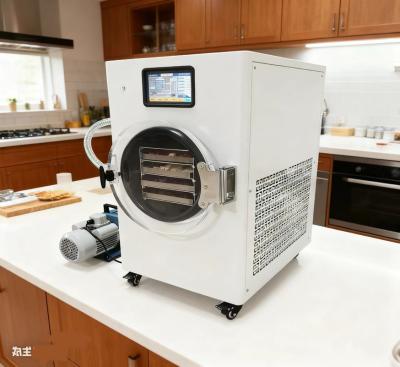 China Home Freeze Dryer Make Your Own Freeze-Dried Treats & Save Money for sale