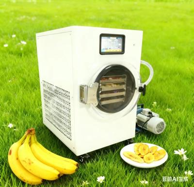 China Home Freeze Dryer for Peace of Mind & Preparednessc Preserve Meals Camping Food for sale