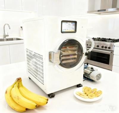 China Home Freeze Dryer Create Unique Freeze-Dried Meals Desserts Fun & Easy for sale