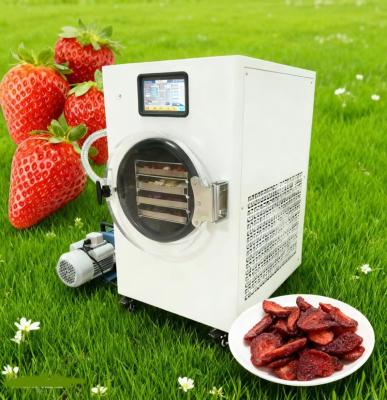 China Home Freeze Dryer Lock in Freshness Save Money  Reduce Food Waste for sale