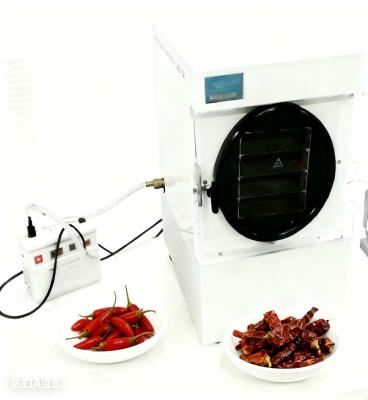 China Home Food Preservation: Freeze Dryer Locks in Nutrition & Flavor for Years of Storage for sale
