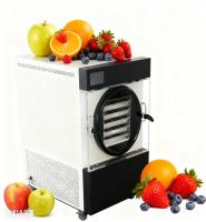 China Stop Food Waste: Preserve Your Garden Harvest & Leftovers with a Home Freeze Dryer for sale