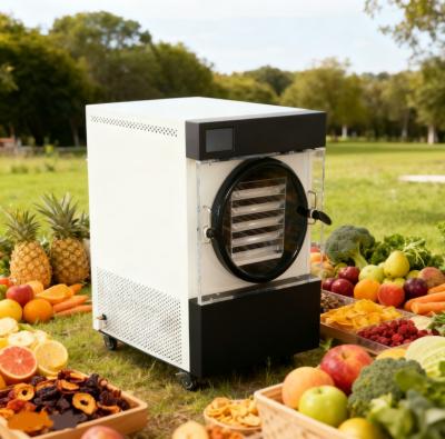 China Smart Kitchen Investment: Save Money & Control Ingredients by Freeze Drying at Home for sale
