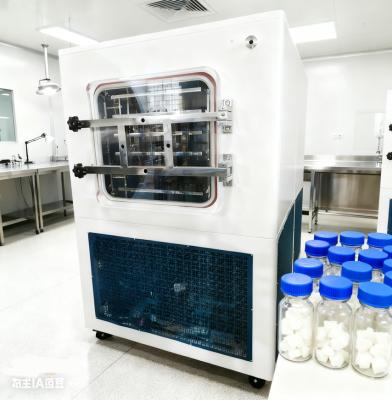 China Lyophilizer: cGMP Design & Automated Hydraulic System for Sterile Processing for sale
