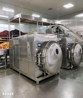 China Energy-Saving 100KG Freeze Dryer: Reduce Operational Costs by Up to 30% for sale