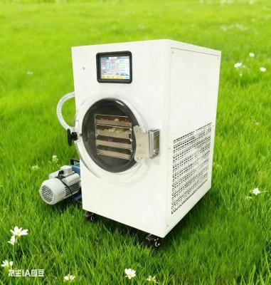 China Create Emergency Food Supply  Home Freeze Dryer for Storage Emergency Preparedness Food Storage for sale