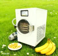 China Easy Home Freeze Dryer  Preserve Your Garden's Harvest Ease of Use, Perfect for Gardeners for sale