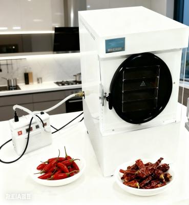 China Compact Home Freeze Dryer Healthy Meals Camping  Treats Size small Lifestyle Uses Camping  Healthy Eating for sale