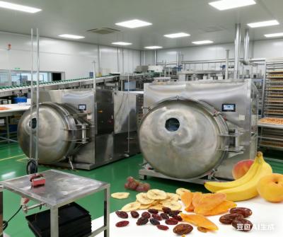 China Boost Your Profit Margins Efficient Industrial Freeze Drying Systems Profitability  Operational Efficiency for sale